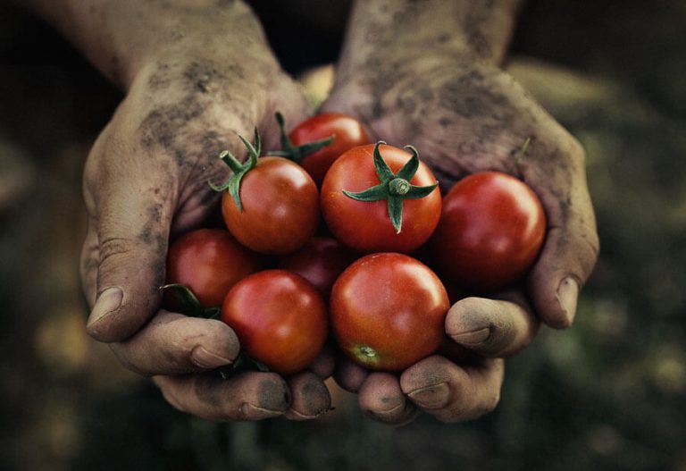 Home | Ardan Irrigation Systems